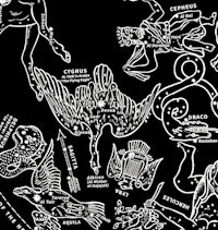 Store - Signs of the Hebrew Mazzaroth