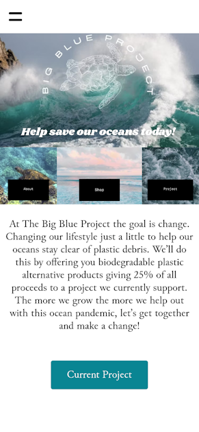 The Big Blue Project
